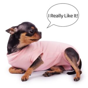 Frienperro Dog Recovery Suit Pet Spay Surgery Shirt for Female Dogs Onesie, Puppy Pajamas Cone E-Collar Alternative for Small Cat Chihuahua Yorkie,Pink XS