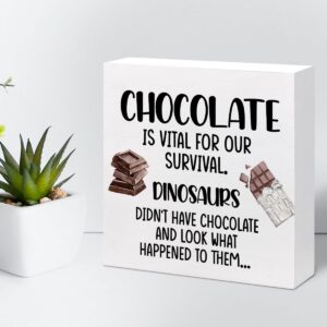 Funny Kitchen Wood Sign Decor,Chocolate is Vital for Our Survival Wood Box Block Plaque Sign for Home Kitchen Shelf Table Desk Decorations