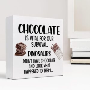 Funny Kitchen Wood Sign Decor,Chocolate is Vital for Our Survival Wood Box Block Plaque Sign for Home Kitchen Shelf Table Desk Decorations