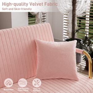 Nolohoo Loveseat Couch Set of 2 with Gold Legs, 58.6" W Pink Small Sofa with 2 Pillows, Tufted Upholstered Settee 2 Seater Mini Couch for Living Room, Bedroom, Office, Apartment (Pink,Velvet)