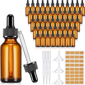 lallisa 100 pack essential oil dropper bottle 30 ml (1 oz) glass dropper bottles with eye dropper dispenser dropping bottle with 5 funnels 5 pipettes 3ml 100 labels for essential oil perfume (amber)