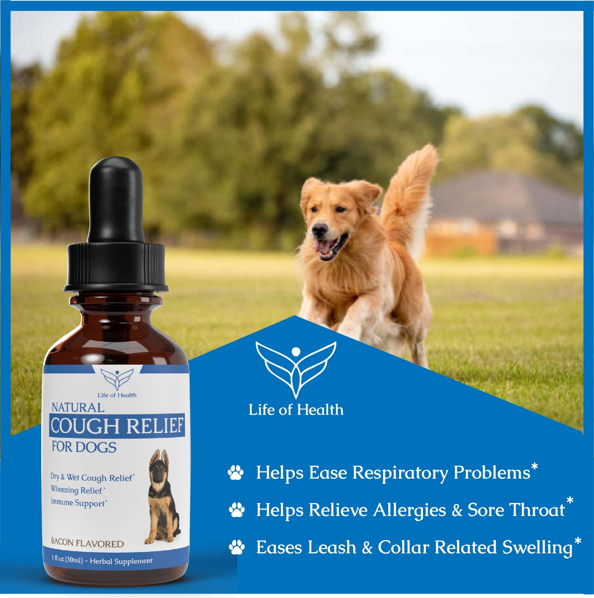 Natural Kennel Cough Treatment for Dogs - Supports Healthy Cough Relief for Dogs of All Breeds & Sizes - Dog Cough Suppressant - Dog Cough Relief - Dog Allergy Relief - Dog Itch Relief - 1 fl oz