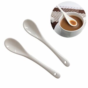 White Ceramic Coffee Spoon, 5 Inch Small Tea Spoons for Ice-cream Teaspoon Appetizers Desserts, Dinner Soup Spoons Kitchen (10 Pack)