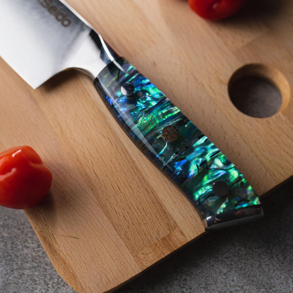 Seido Knives Awabi Gyuto Chef Knife 67 layers of Damascus Steel with a VG-10 Super Steel Core with Abalone Shell Resin Handle