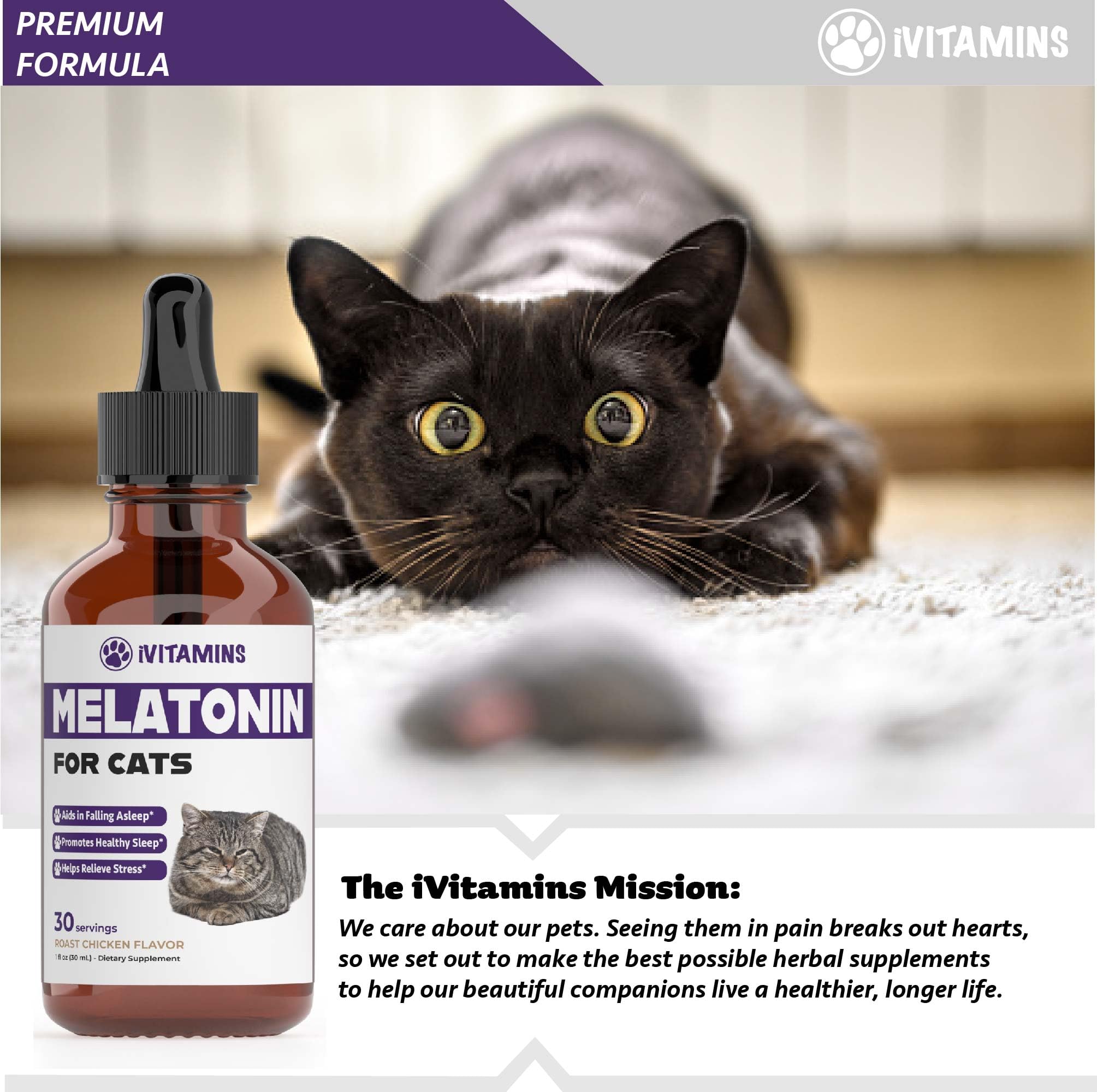 Melatonin for Cats | Supports Healthy, Restful Sleep for Your Cat | Cat Stress Relief | Cat Calming | Cat Anxiety Relief | Cat Melatonin | Anxiety Relief for Cats | Cat Sleep Aid | 1 fl oz