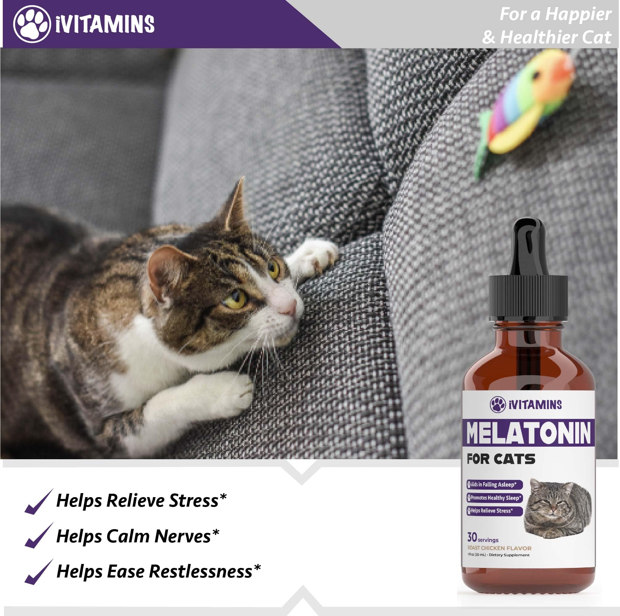 Melatonin for Cats | Supports Healthy, Restful Sleep for Your Cat | Cat Stress Relief | Cat Calming | Cat Anxiety Relief | Cat Melatonin | Anxiety Relief for Cats | Cat Sleep Aid | 1 fl oz