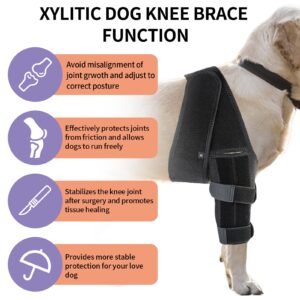 Xylitic Dog Knee Brace, Acl Knee Brace for Dogs Hind Leg with Cruciate Ligament Injury,Joint Pain and Muscle Sore,Adjustable Dog Rear Leg Brace Support for Patella Dislocation,Pet Knee Brace (Medium)