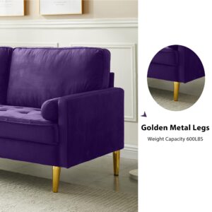 RXRRXY 67" Modern Velvet Loveseat Sofa Couch, Mid-Century Tufted Upholstered Small Love Seat Couch with 2 Pillows & 4 Golden Legs, 2-Seats Couches for Compact Space, Living Room, Apartment (Purple)