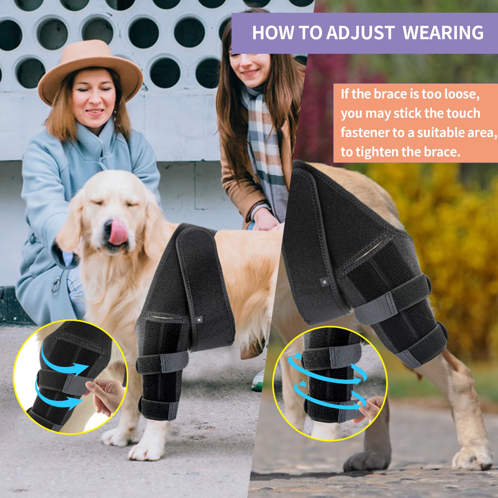 Xylitic Dog Knee Brace, Acl Knee Brace for Dogs Hind Leg with Cruciate Ligament Injury,Joint Pain and Muscle Sore,Adjustable Dog Rear Leg Brace Support for Patella Dislocation,Pet Knee Brace (Medium)