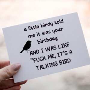 A Little Birdy Told Me It Was Your Birthday Card - Hilarious Birthday Card - Adult Birthday Card - Funny Birthday Card For Him/Her - Rude Card - Snarky Birthday Card - Greeting Card