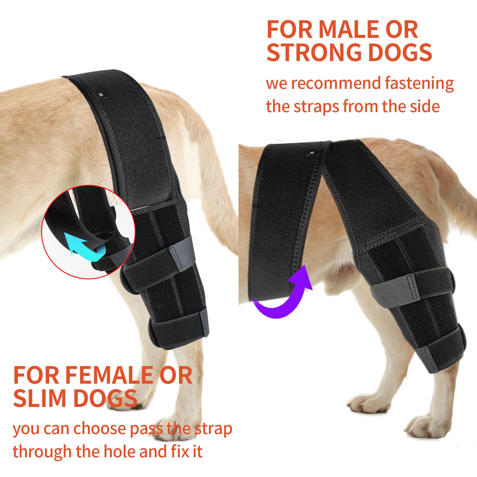 Xylitic Dog Knee Brace, Acl Knee Brace for Dogs Hind Leg with Cruciate Ligament Injury,Joint Pain and Muscle Sore,Adjustable Dog Rear Leg Brace Support for Patella Dislocation,Pet Knee Brace (Medium)