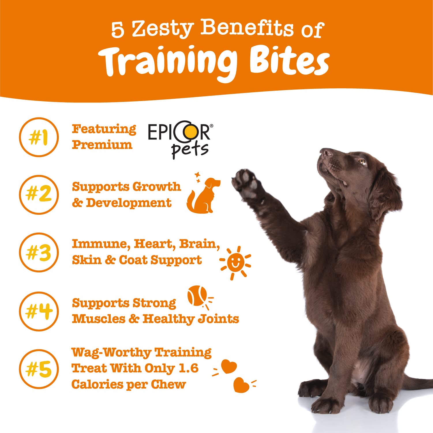 Zesty Paws Allergy Immune Supplement for Dogs - with Omega 3 Salmon Fish Oil + Training Treats for Dogs & Puppies - Hip, Joint & Muscle Health