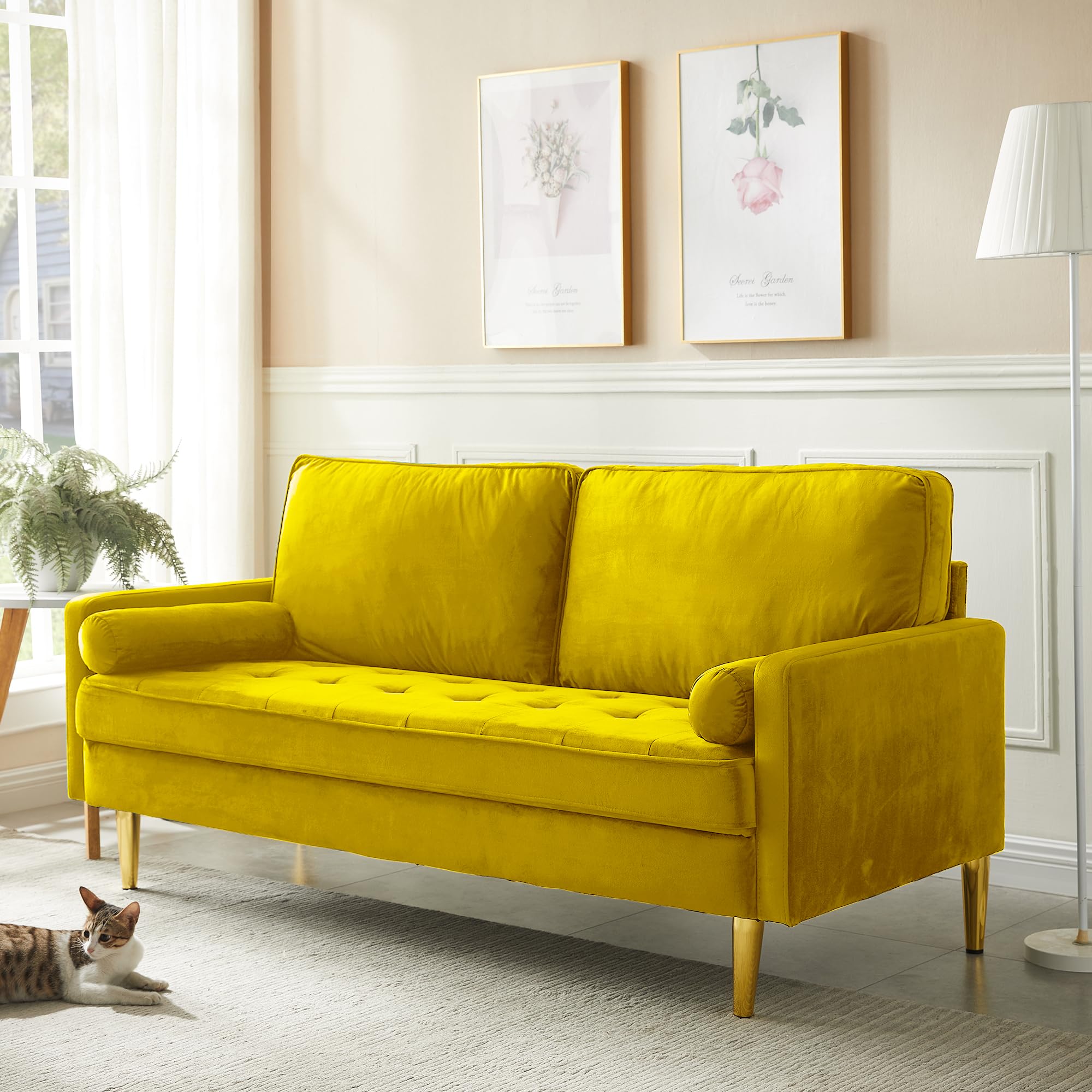 Hdxdkog Velvet Loveseat Sofa, 66.9'' Mid Century Modern Small Love Seats with 2 Pillows & Golden Legs Comfy Couch for Living Room, Upholstered 2 Seater Sofa for Small Apartment (Yellow)