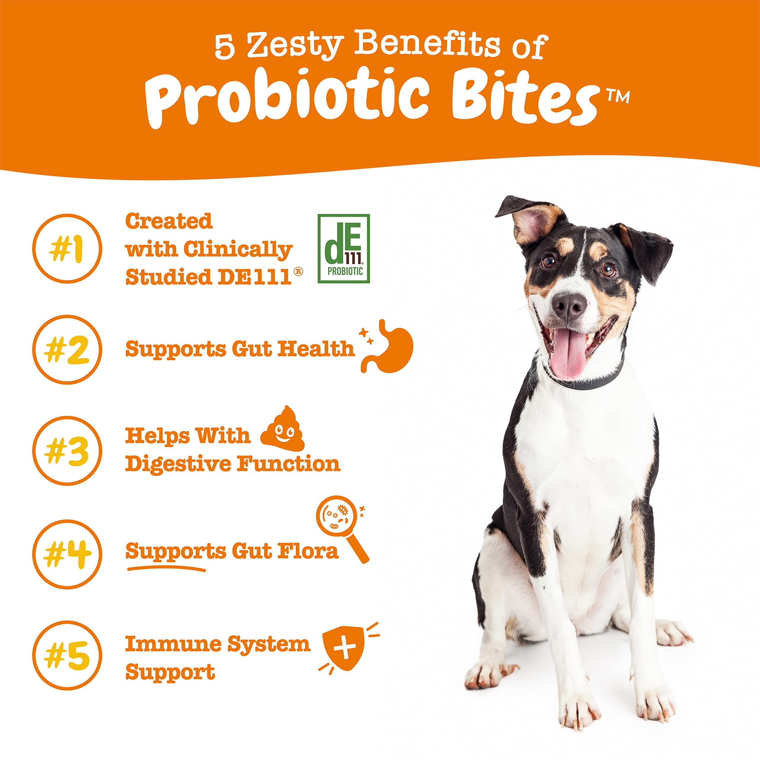 Zesty Paws Probiotics for Dogs - Digestive Enzymes for Gut Flora + Dental Bones for Large Dogs - Fights Tartar & Plaque