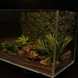 AQUA KT Terrarium Moss Background Backdrop Wall Artificial Reptile Amphibian Cage Decoration for Lizard Bearded Dragon Snake Frog Chameleon Climbing, Pack of 2