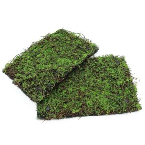 AQUA KT Terrarium Moss Background Backdrop Wall Artificial Reptile Amphibian Cage Decoration for Lizard Bearded Dragon Snake Frog Chameleon Climbing, Pack of 2