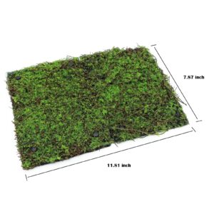 AQUA KT Terrarium Moss Background Backdrop Wall Artificial Reptile Amphibian Cage Decoration for Lizard Bearded Dragon Snake Frog Chameleon Climbing, Pack of 2