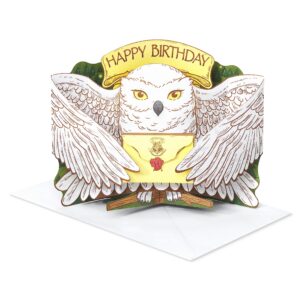 American Greetings Pop Up Harry Potter Birthday Card (Filled with Magic!)