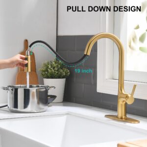 FROPO Brushed Gold Kitchen Faucet, Single Handle Gold Kitchen Sink Faucet with Pull Down Sprayer Modern Stainless Steel Brass Gold Faucet with Deck Plate 3-Function Spray Head 1 or 3 Hole