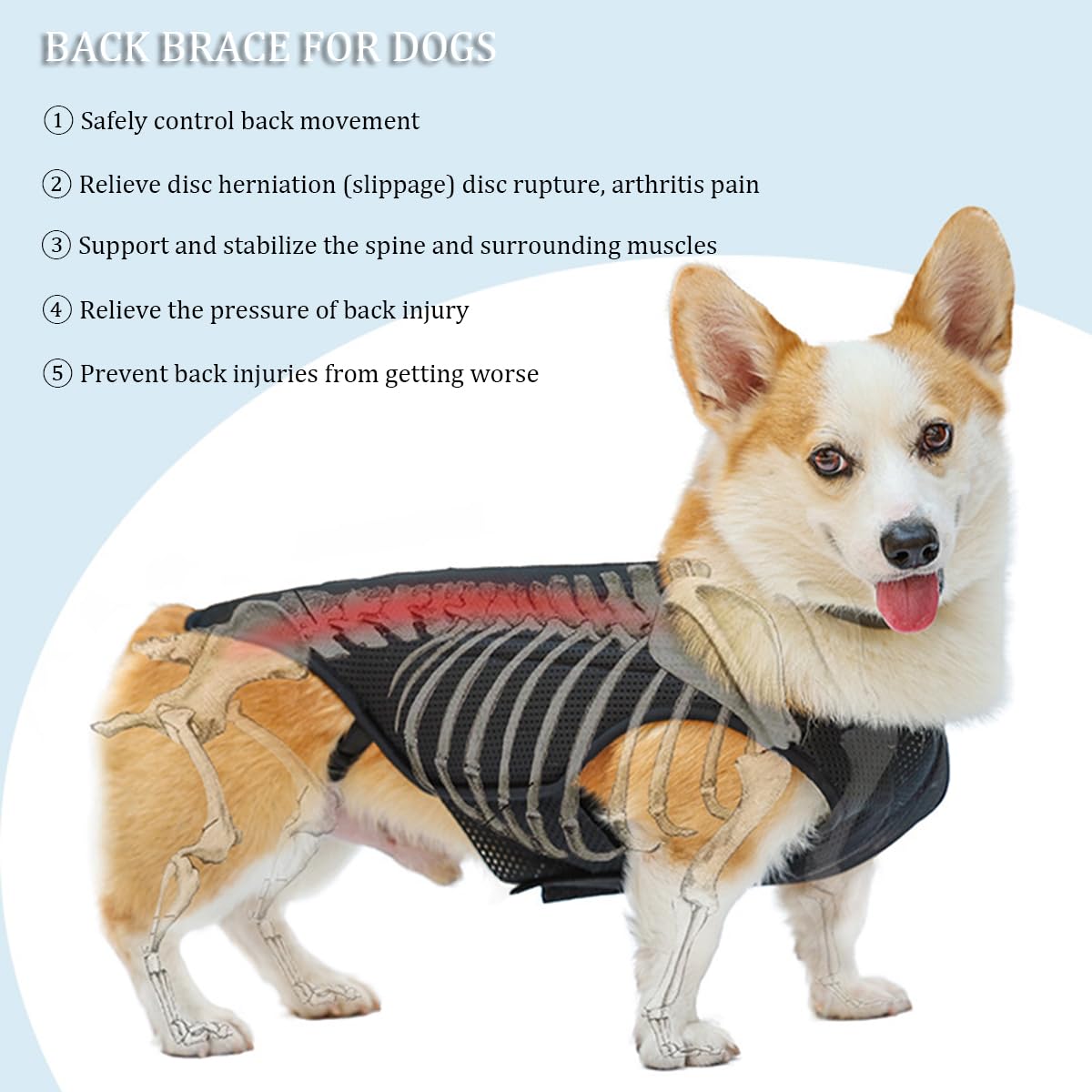 RUIFAR IVDD Back Brace for Dogs, Flexible Pet Dachshund Back Supporting Vest, Dog Back Bracer for Small Pet with Arthritis, Back Pain,Herniated Disc,Spinal Surgical Recovery (S)