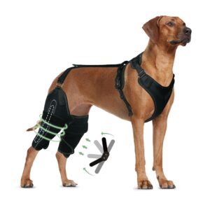 lispoo dog knee brace for torn acl hind leg, luxating patella, cruciate ligament, dog acl knee brace support back leg with arthritis pain, acl brace for dogs rear leg (xl)