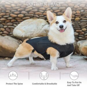 RUIFAR IVDD Back Brace for Dogs, Flexible Pet Dachshund Back Supporting Vest, Dog Back Bracer for Small Pet with Arthritis, Back Pain,Herniated Disc,Spinal Surgical Recovery (S)