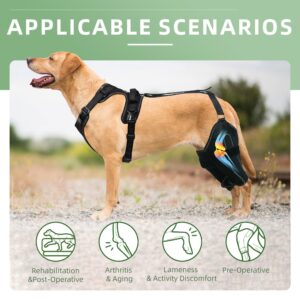 LISPOO Dog Knee Brace for Torn Acl Hind Leg, Luxating Patella, Cruciate Ligament, Dog Acl Knee Brace Support Back Leg with Arthritis Pain, Acl Brace for Dogs Rear Leg (XL)