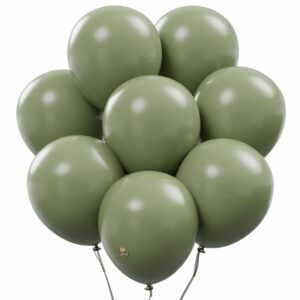 afterloon® biodegradable balloons 24 pcs sage green 12 inch, matte color thickened extra strong latex helium float, multicolor colorful bulk color ballon baloon globos para decoration de fiestas kids