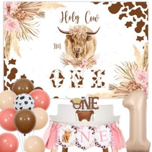 highland cow 1st birthday decorations girl - holy cow im one backdrop, highland cattle high chair banner, cake topper, foil balloons for pink boho floral highland cow farm animal party supplies