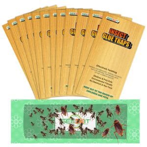 30 pcs cricket traps indoor for trapping insects, mice, spiders, bugs, crickets, scorpions, roaches, super sticky & non-toxic glue board pre-baited with fruity scent attractant - 9.5 x 3.15 in