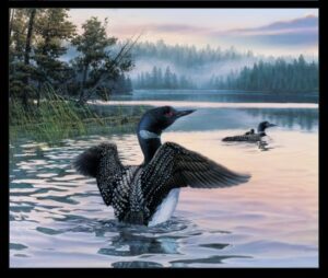 elizabeth studios 36" x 44" panel loons on lake birds wildlife nature landscape scenic black cotton fabric panel (8916black)