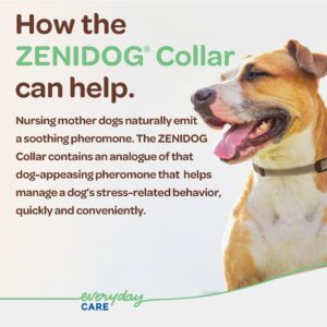 Dog Calming Collar with Pheromones - Zenidog Long-Acting Collar, Dog Calming Pheromone Collar, Long-Acting Pheromones for Dogs, Calming Collar, Dog Calming, Calming Collar for Dogs (Large Dogs)