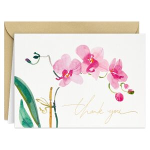 hallmark pink orchid thank you notes (20 blank cards with envelopes) for bridal shower, baby shower, wedding, birthday