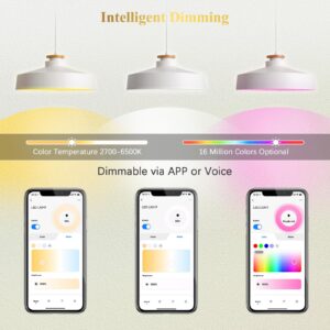 DiCUNO MR16 Smart Bulb Alexa, RGBCW Color Changing GU5.3 Light Bulb Compatible with Google Home, Dimmable with App, AC/DC 12V, 110° Beam Angle 40W 400LM, 2.4GHz WiFi, Landscape Light, 4-Pack