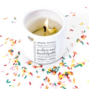 Pavilion GIft Company - November 11 oz Wax Reveal Candle, Natural Soy Wax Birthstone Candle, Jasmine Scented, Gemstone Candle with Crystal Inside, Birthday Gifts for Women, 1 Count