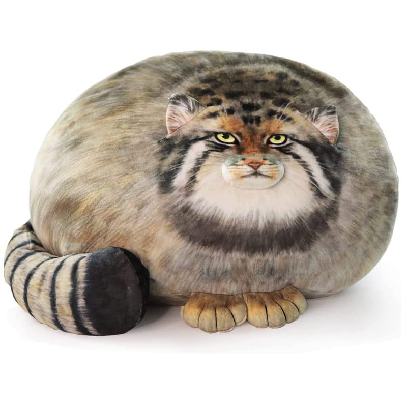 Chubby Steppe Cat Pillow,18'' Pallas Cat Plush Pillow, Cute Steppe Cat Stuffed Animals Soft Plushies, Kitten Plush Throw Pillow Doll Big Plush Toys Gift for Girls Boys Girlfriend