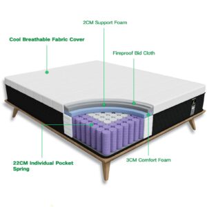 JEEKEA Queen Mattress in a Box - 10 Inch Memory Foam Mattress Queen Size - Queen Hybrid Mattress for Back Pain Relief - Medium Firm Mattress Queen with Motion Isolation & Strong Edge Support