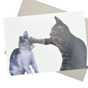 groomers margins cat best friend thinking of you card with envelope (7x5 inches and blank inside for all occasions) for cat birthday wishes, thank you, get well, or to express friendship - 189