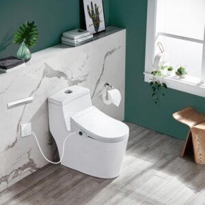 Combier CMA301 Bidet Toilet Seat With Warm Water And Wireless Remote, The heated Toilet Seat Have Warm Air Dryer, Multiple Spray Modes And Self-Cleaning Stainless Steel Nozzle (Elongated)