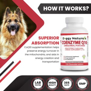 Coenzyme Q10 High Potency COQ10-40mg UBIQUINOL for Dogs (120 Tabs) Made in U.S.A. CoQ10 for Dogs