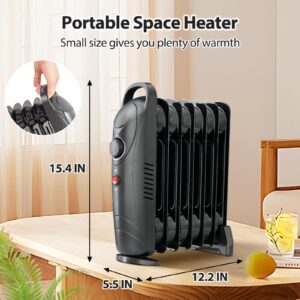 LifePlus Oil Filled Heater, 700W Portable Radiant Space Heater with Adjustable Thermostat, Electric Small Quiet Heater with Overheat Protection for Room Indoor Office, Black