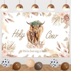 JOYMEMO Brown Highland Cow Baby Shower Decorations for Boy, Holy Cow We are Having a Baby Backdrop Decor with Welcome Baby Print Banner Cake Topper, Farm Highland Cattle Baby Shower Party Supplies