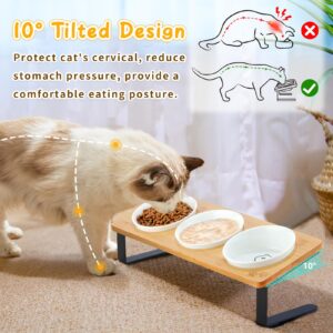 3 Elevated Cat Bowls Tilted Anti Vomiting Ceramic Raised Cat Food Bowls for Food and Water, Cat Dishes for Indoor Cats with Non-Slip Stand & Bamboo Board, Dishwasher Safe - 1 Step Assemble