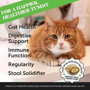 Pet Honesty Cat Probiotics Gut + Immune Health Chews - Cat Digestive Health, Cat Vitamins Supports Gut Health, Immunity Health, Healthy Digestion + Cat Constipation Relief - Chicken (30-Day Supply)