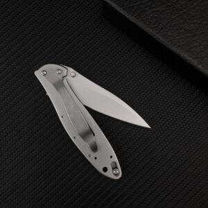 Everyday Carry Leek Pocket Knife, 2.8 inch 5Cr15 Mov Blade and Stainless Steel Handle, Flipper Assisted Opening Folding Knife with Frame Lock, Deep Carry Pocketclip for Camping