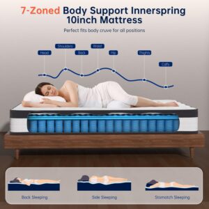 OAITE Twin XL Mattress-10-Inch Hybrid Mattress with Individual Pocket Springs and Memory Foam, Twin XL Size Bed in a Box,Breathable and Pressure-Relieving,Mattress Twin XL(80''*39''*10'')