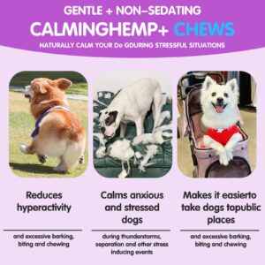 Hemp Calming Chews for Dogs, 150 Soft Dog Calming Treats, Dog Calming Treats with Hemp Oil, Dog Anxiety Relief, Storms, Separation, Barking, Stress Relief for All Breeds & Sizes - Chicken Flavored