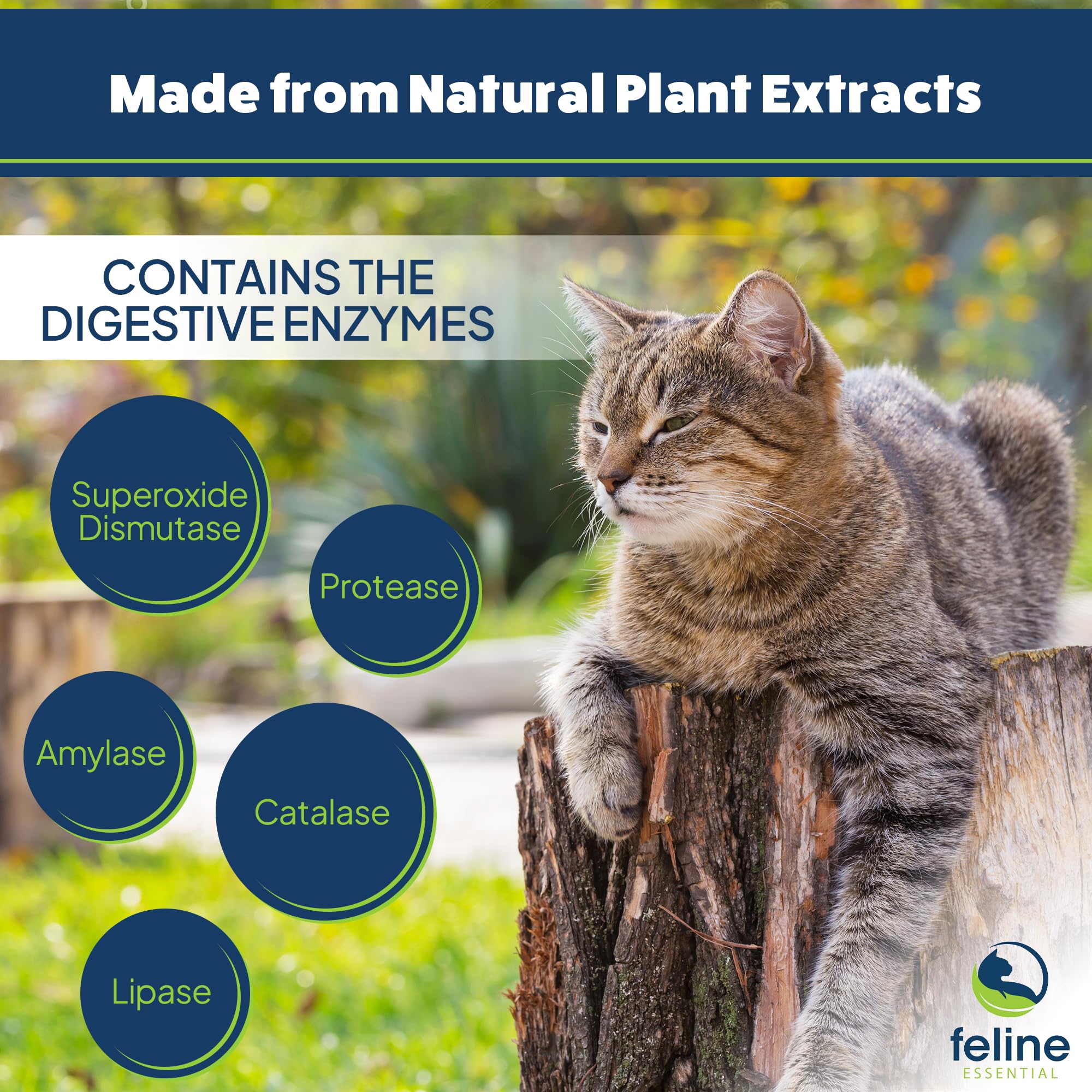 Feline Essential Catalyst Antioxidant Enzyme Formula for Cats - Cat Digestive Enzyme - Digestive Enzymes for Cats - Cat Digestive Support - Feline Catalyst Liquid Pancreatic Enzyme Supplements Cats