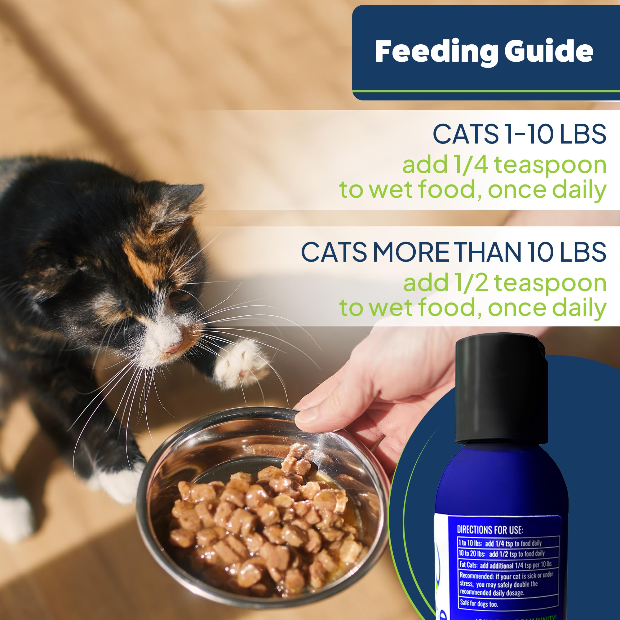 Feline Essential Catalyst Antioxidant Enzyme Formula for Cats - Cat Digestive Enzyme - Digestive Enzymes for Cats - Cat Digestive Support - Feline Catalyst Liquid Pancreatic Enzyme Supplements Cats