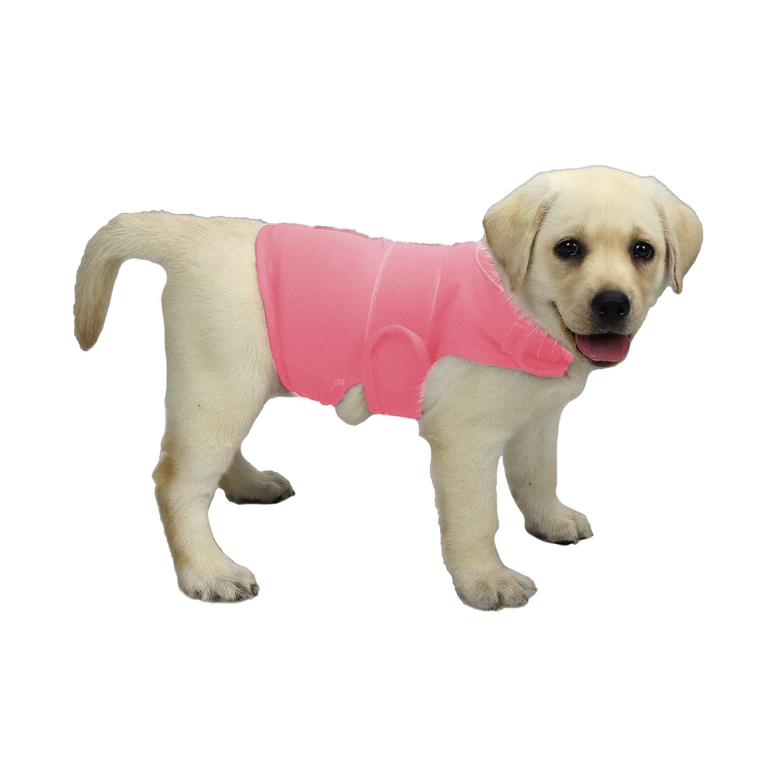 balancepaw Thunder Jacket for Dogs Anxiety Relief, Dog Anxiety Vest Calming Care for Separation, Thunderstorm, Travel, Fireworks, Vet Visits (Pink S)